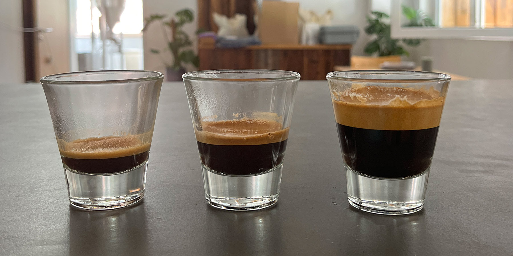Coffee lungo – so you can enjoy it for even longer! – Wildkaffee GmbH